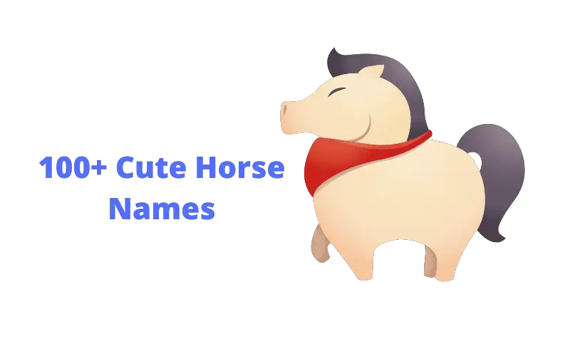 100 Cute Horse Names Equine Desire 100-cute-horse-names-equine-desire