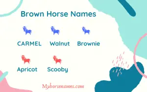171+ Brown Horse Names - Amazing ideas (2024) - Equine Desire
