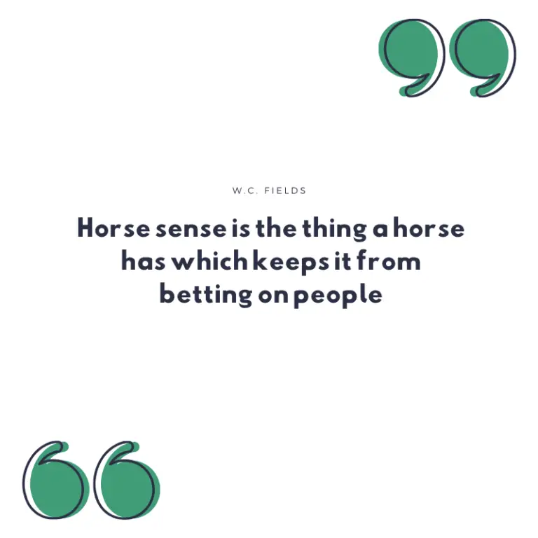 70+ Horse Quotes and Sayings - Equine Desire
