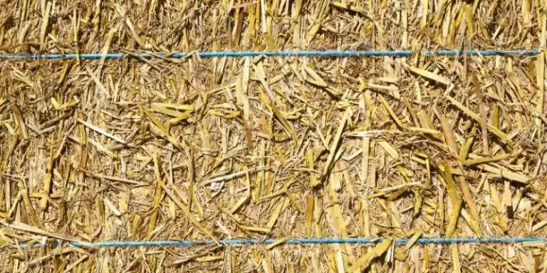 How Much is a Bale of Straw? Price Factors - Equine Desire
