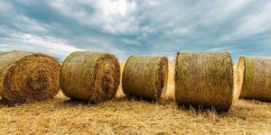 How Much Does a Round Hay Bale Weigh? - Equine Desire