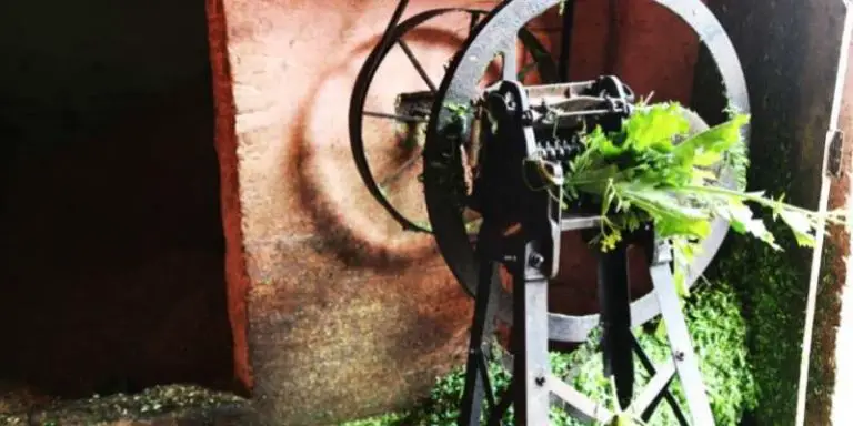 5 Types of Chaff Cutter with Different Uses - Equine Desire