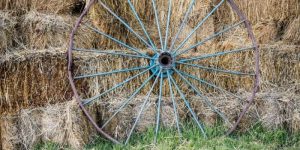 5 Different Types of Chaff For Horses - Equine Desire