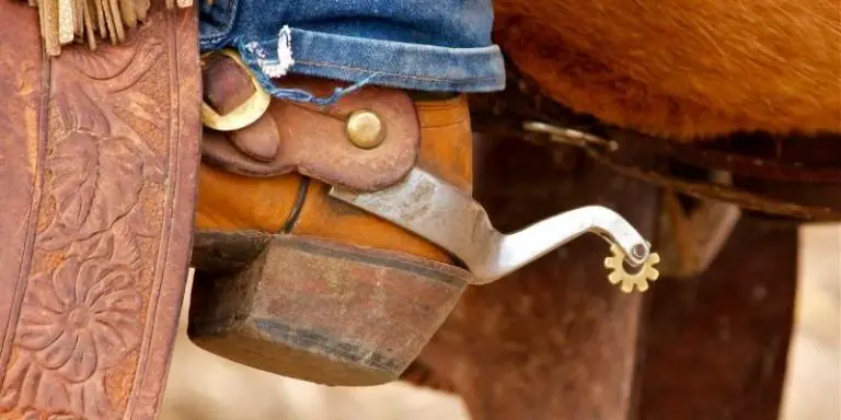 Do Spurs Hurt Horses? 3 Reasons to Know - Equine Desire