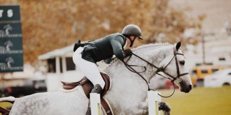 The 5 Best Weed Killer For Horse Pasture - Equine Desire